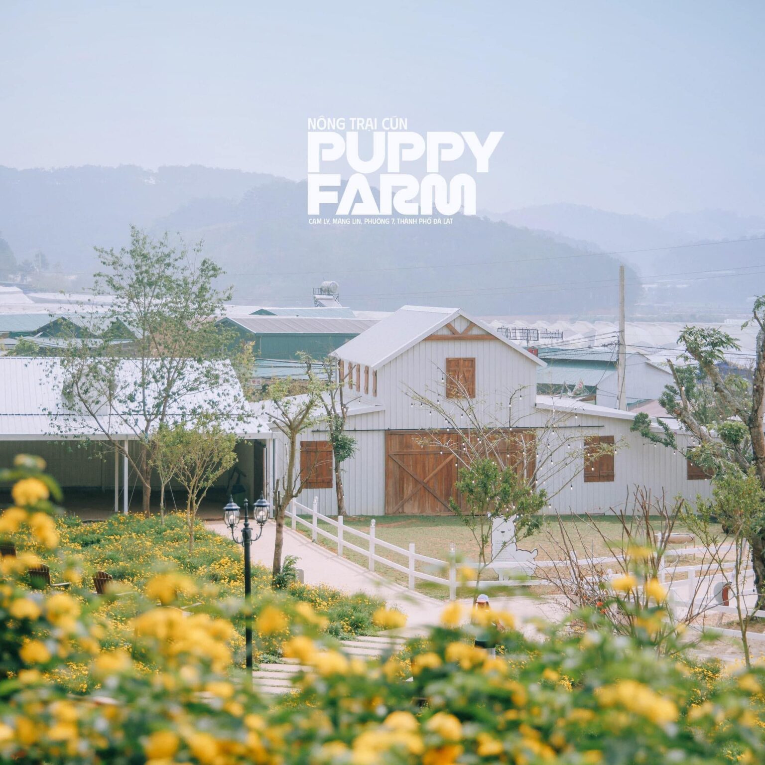 Puppy Farm Đà Lạt - Nông trại cún hot nhất Đà Lạt năm 2024